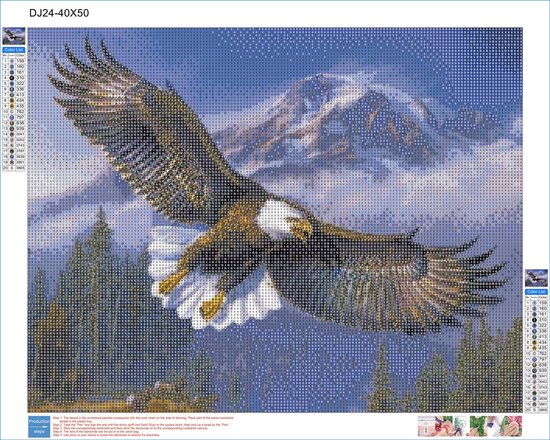 diamond painting-arend-eagle-40x50 cm | bol.com