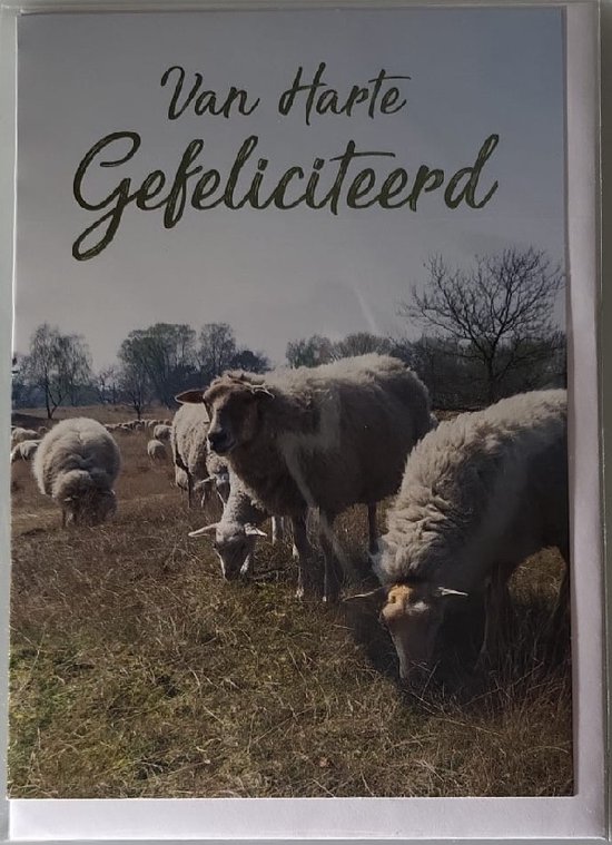 Van harte gefeliciteerd met je verjaardag. Een leuke kaart met schapen in het gras.... | bol.com