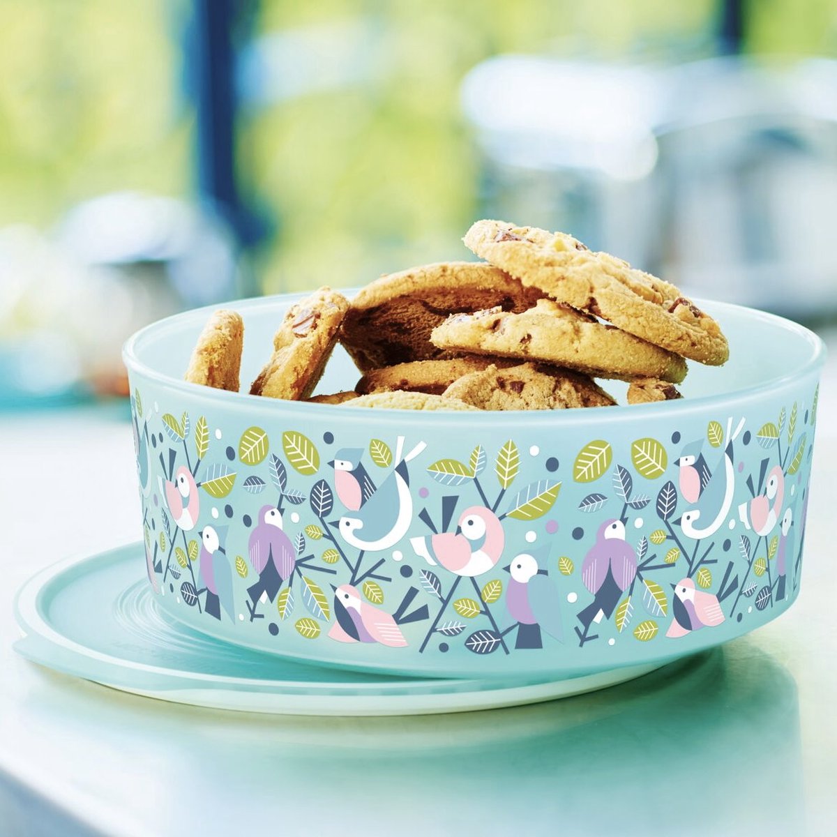 Tupperware ClickPlus Birds - Ronde Koektrommel 1,5 l Vogels | bol.com