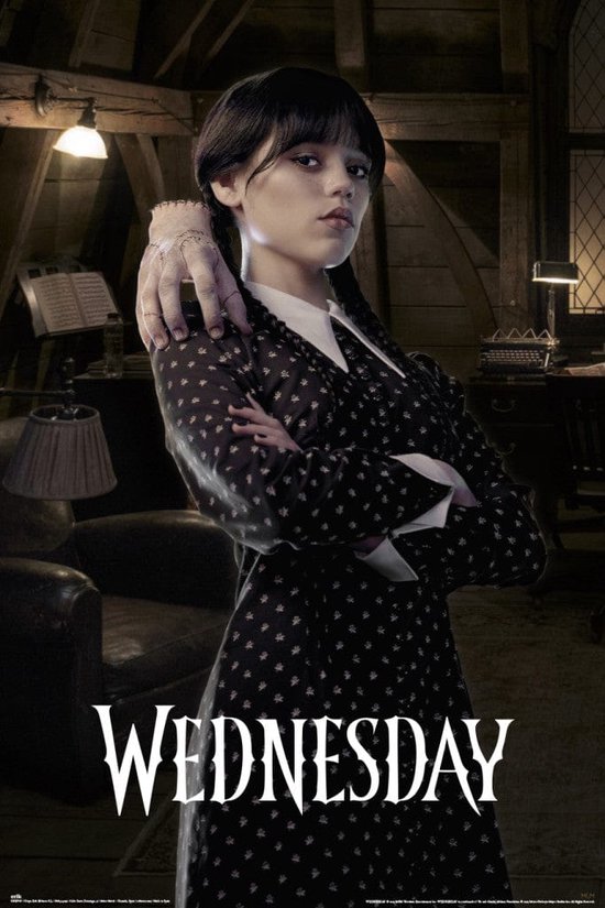 Grupo Erik Wednesday Room Poster - 61x91,5cm | bol.com