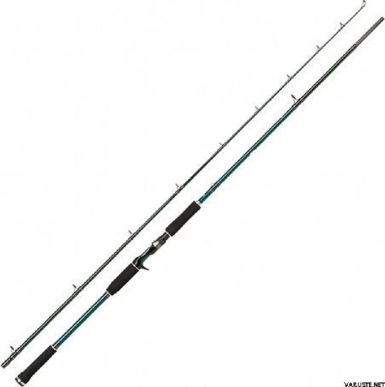 Abu Garcia Beast X Pike Casting 2,54 m 40-140 gr XH | bol.com