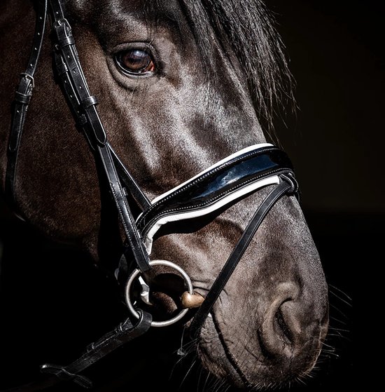 Hb Hoofdstel Special Guy - Zwart-wit - middel | bol.com