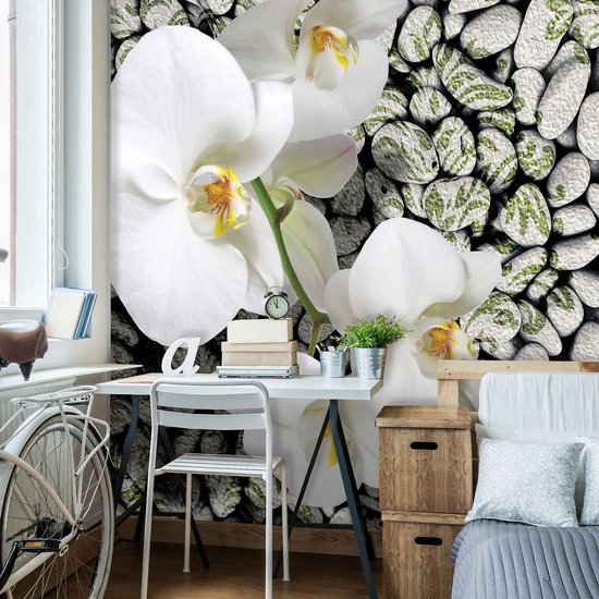 Fotobehang - Vlies Behang - Orchidee en Kiezelstenen - 254 x 184 cm ...