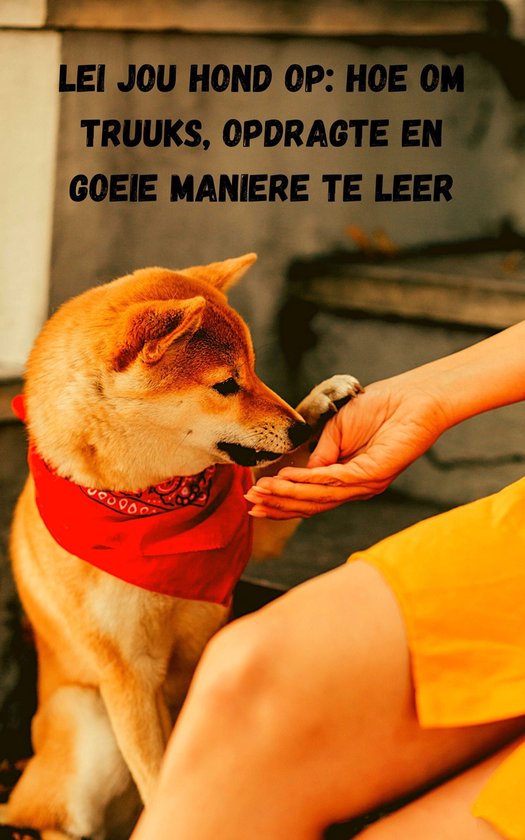 Lei jou hond op: hoe om truuks, opdragte en goeie maniere te leer ... Lei jou hond op: hoe om truuks, opdragte en goeie maniere te leer ...