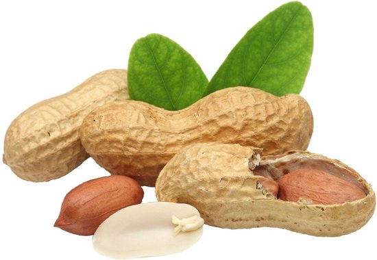 Fusion Arachideolie - 5 liter | bol