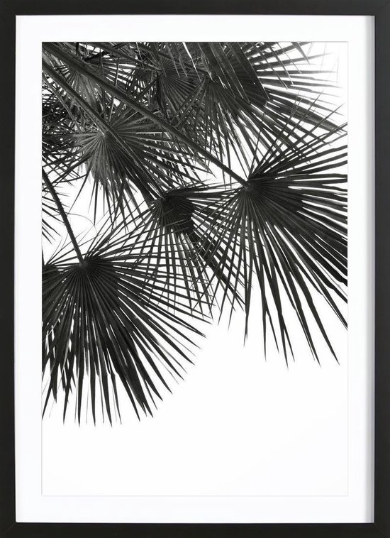 JUNIQE - Poster in premium houten lijst Endless Summer - Wind -30x45 | bol