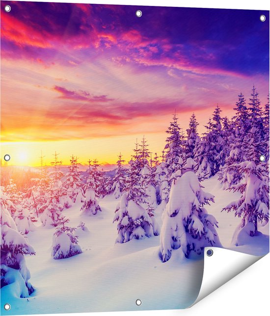Gards Tuinposter Zonsondergang in het Sneeuw Bos - 80x80 cm - Tuindoek ...