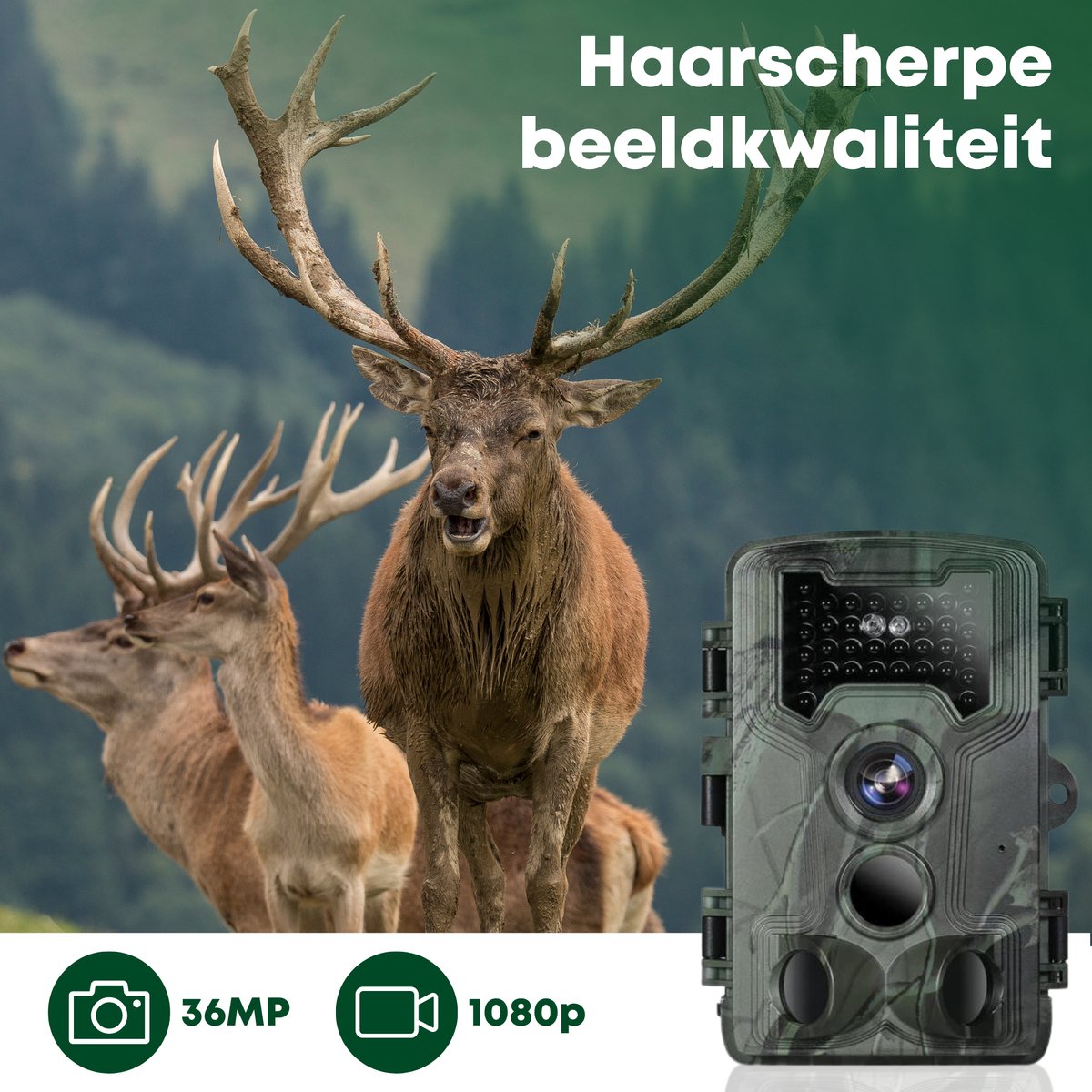 RYCE ® Full HD Wildcamera met Nachtzicht - 36MP - Met Geluidsopname - IP66 Waterdicht... | bol.com