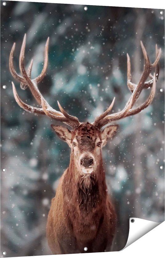 Gards Tuinposter Hertenkop - Hert in de Sneeuw - 90x120 cm - Tuindoek ...