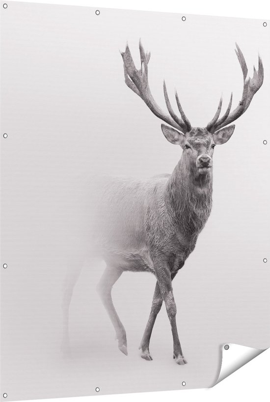 Gards Tuinposter Hert - Zwart Wit - 120x150 cm - Tuindoek ...