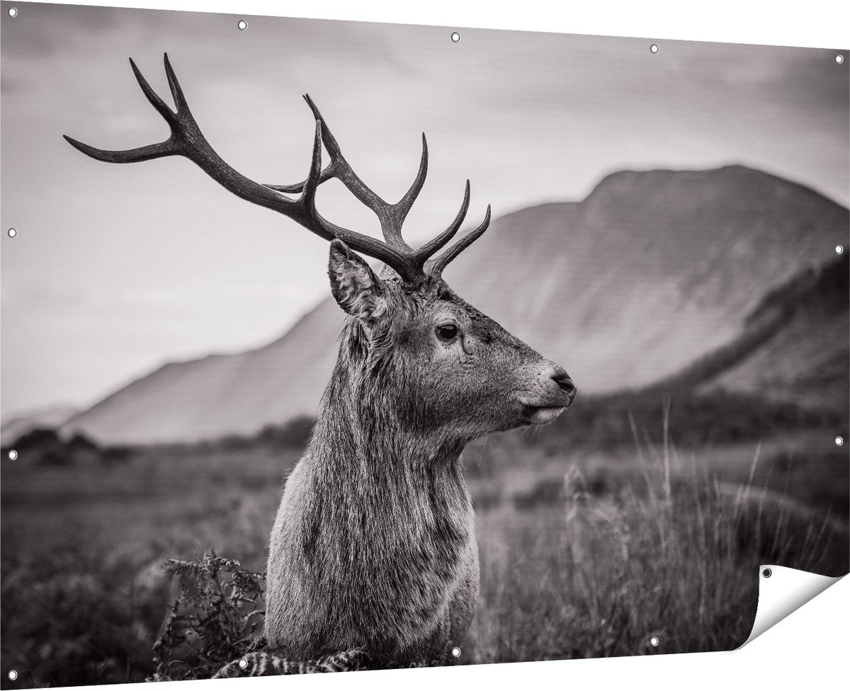 Gards Tuinposter Hertenkop - Hert - Zwart Wit - 180x120 cm - Tuindoek ...