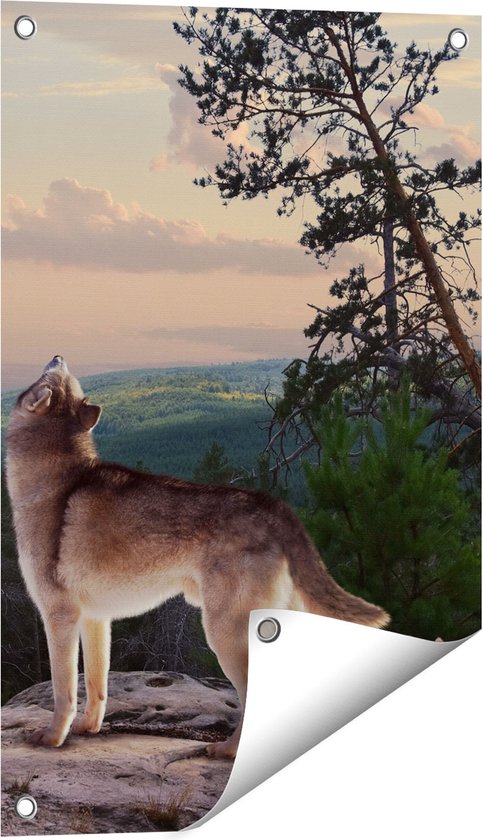 Gards Tuinposter Drie Wolven op een Rots in het Bos - 40x60 cm ...