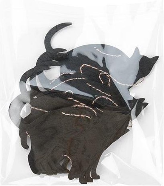 Plastic Zakken 7,5x14,6cm Transparant en Hersluitbaar (100 stuks) | bol.com