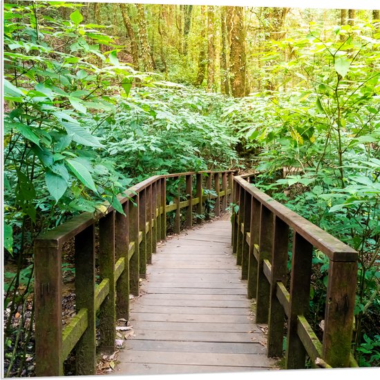 PVC Schuimplaat- Houten Bruggetje door de Planten in het Bos - 80x80 cm ...