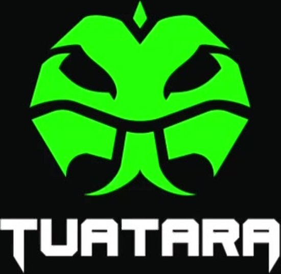 Tuatara Processor - Sim Race Handschoenen - Ultra Grip - XXL | bol.com