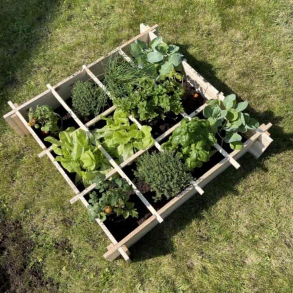 Terra Garden - Kweekbak - Plantenbak - Moestuin - Minigarden - Bloembak ...