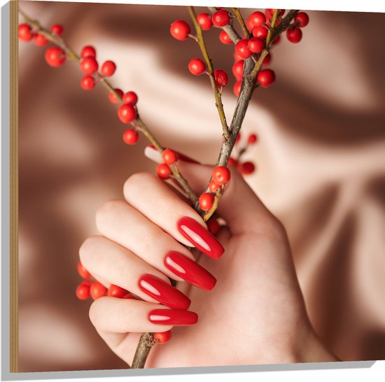 Hout - Tak met Rode Bessen in Vrouwelijke Hand met Lange Rode Nagels ...