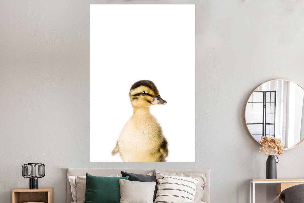 Eend - Geel - Dieren - Natuur | bol.com