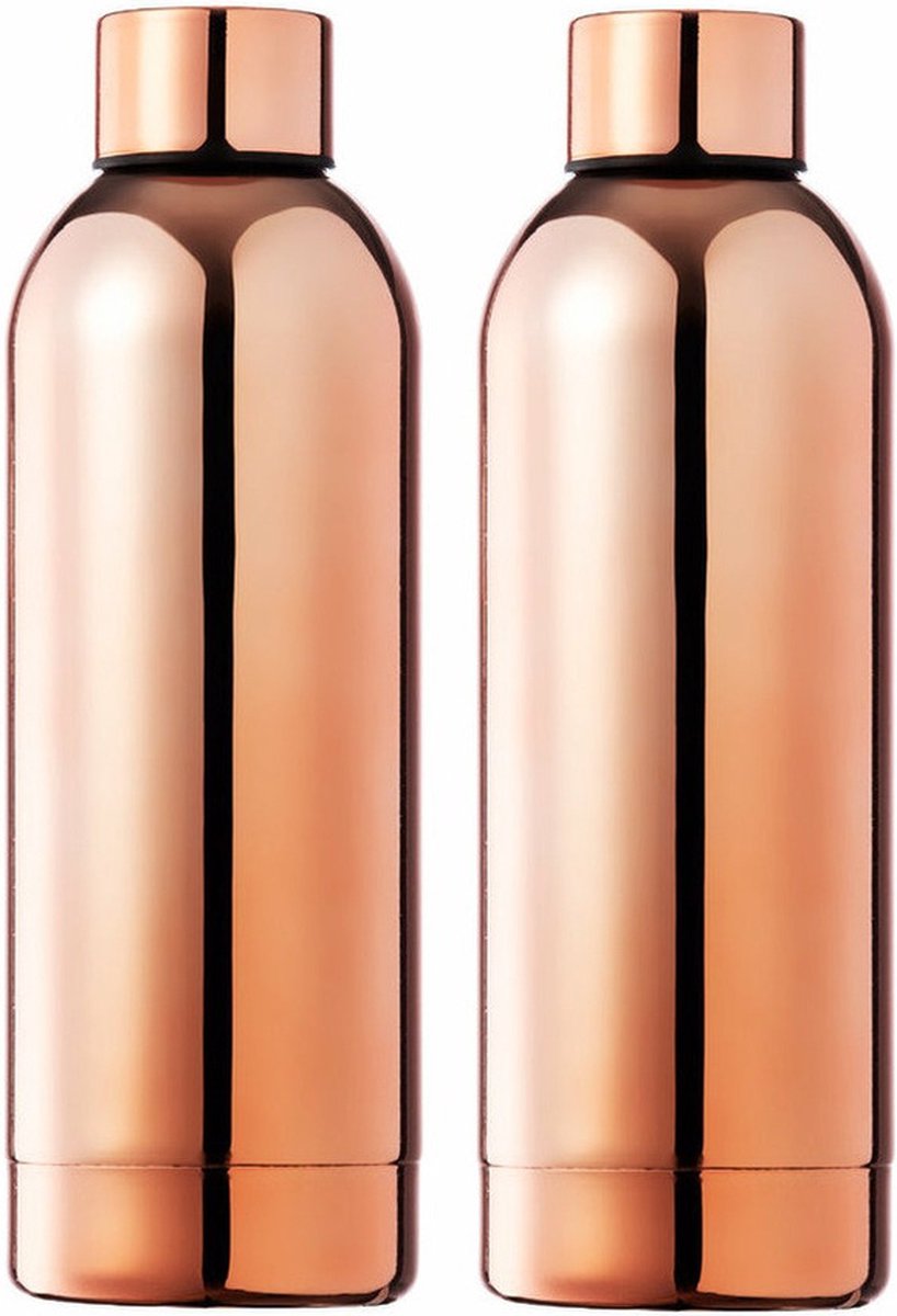 RVS waterfles/drinkfles/bidon/sportfles - 2x - metallic koper - met ...