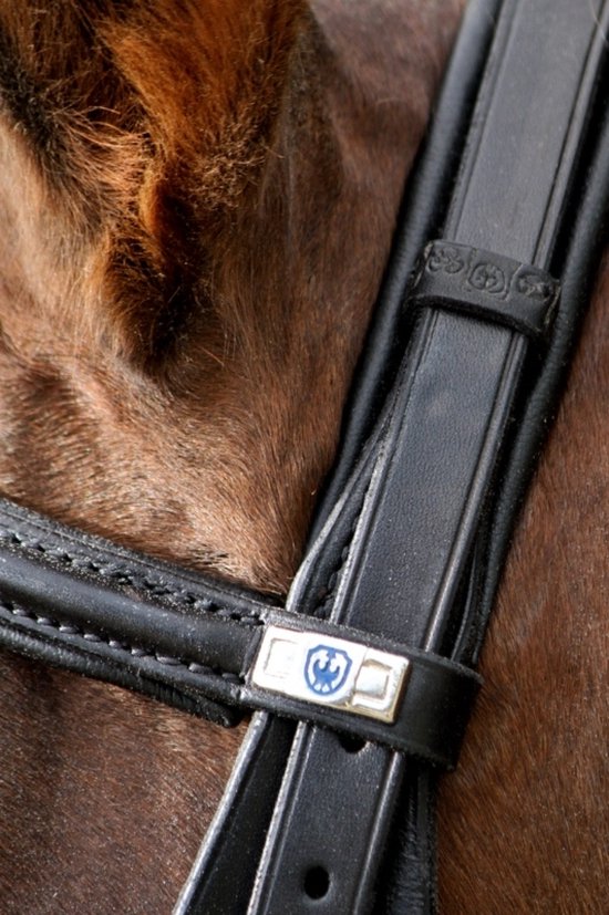 Stubben zadelhoes dressuur met logo - blauw - full | bol.com