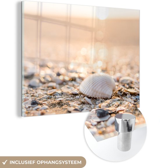 Glasschilderij - Wanddecoratie - Schelpen - Strand - Zon - Acrylplaat ...