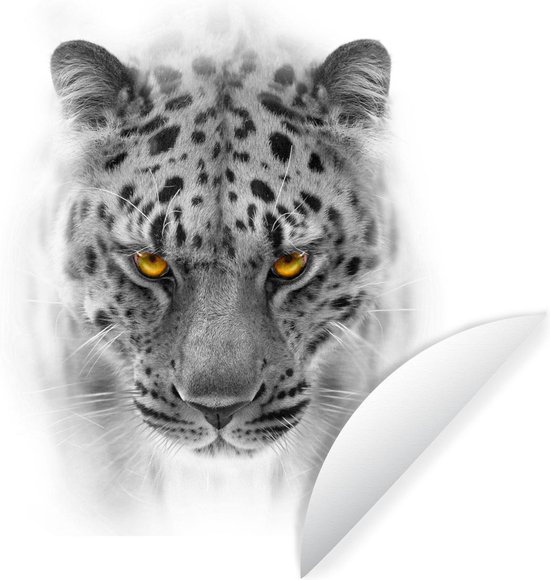 Behangcirkel - Luipaard - Zwart - Wit - Dieren - 100x100 cm - Muurcirkel - Zelfklevend... | bol.com