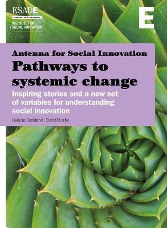 Antenna for Social Innovation: Pathways to Systemic Change ...