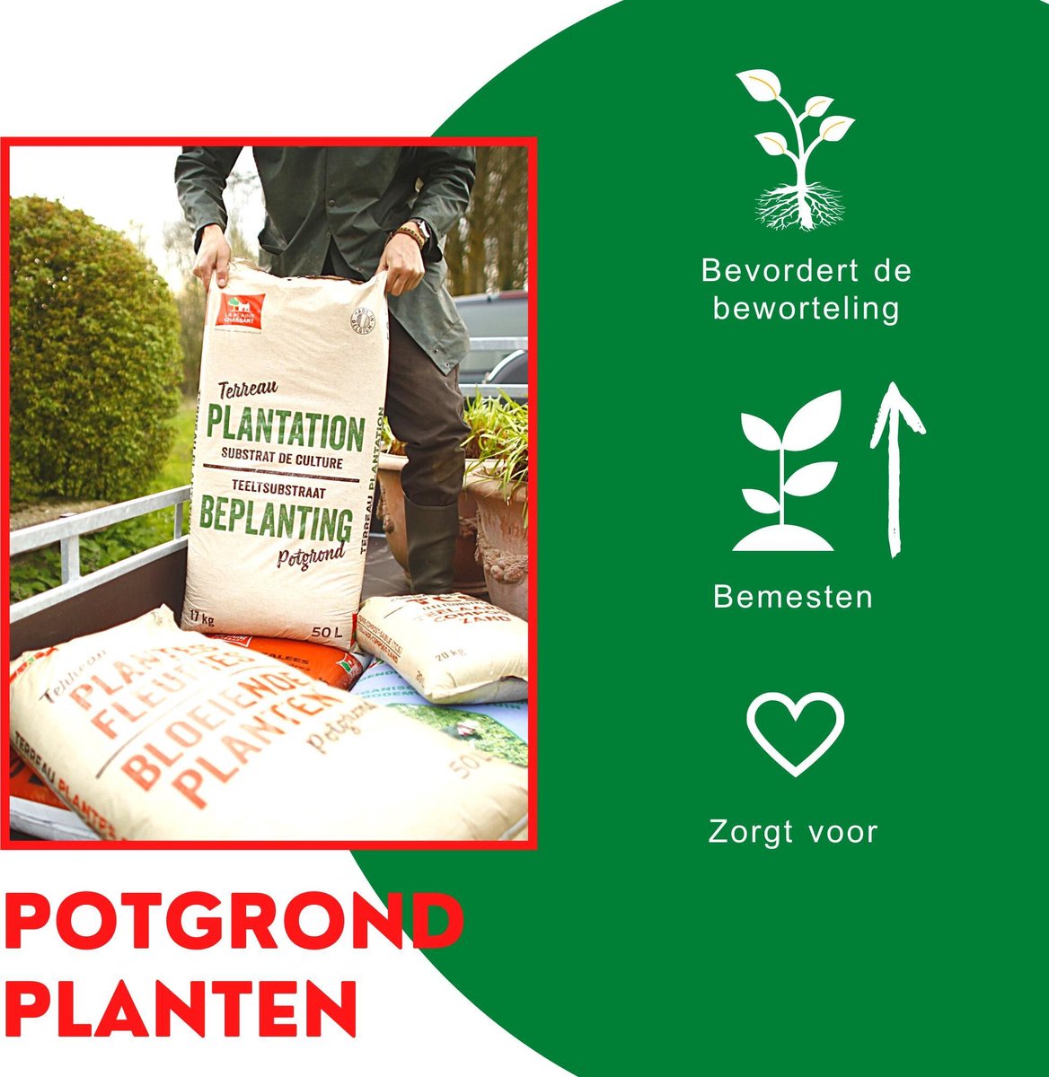 La Plaine Chassart | Beplanting Potgrond | Zak van 50L | Groeiend ...