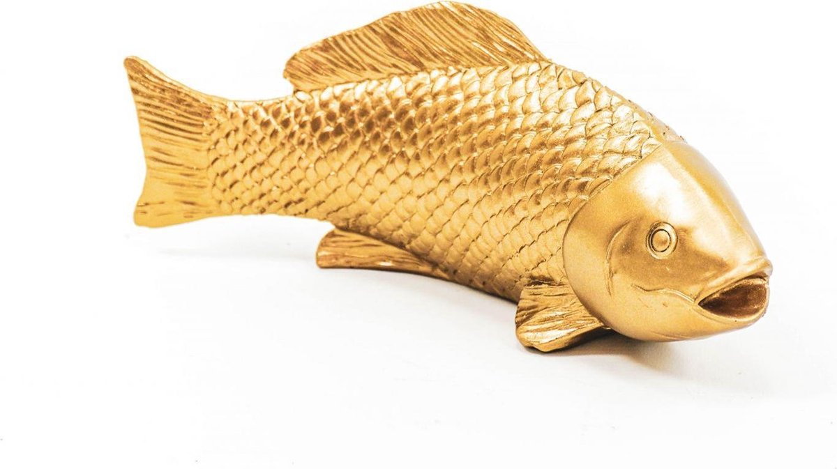 Housevitamin gouden vis | bol.com