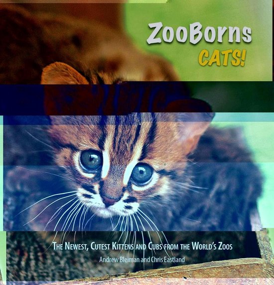 ZooBorns - ZooBorns Cats! (ebook), Andrew Bleiman | 9781501131042 | Boeken | bol.com