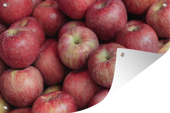 Tuinposter - Tuindoek - Tuinposters buiten - Appel - Rood - Fruit ...