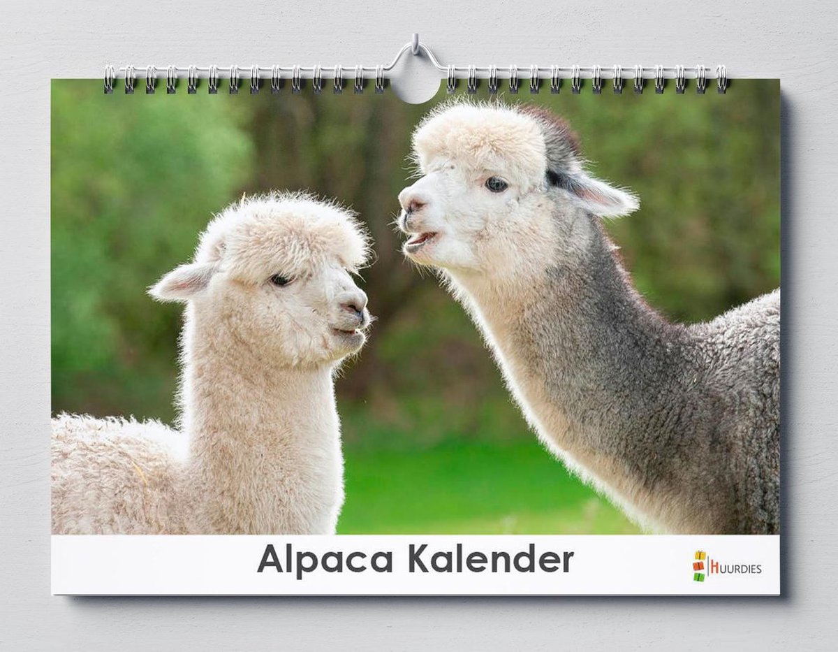 Alpaca kalender 35x24 cm | Alpaca verjaardagskalender | Alpaca ...