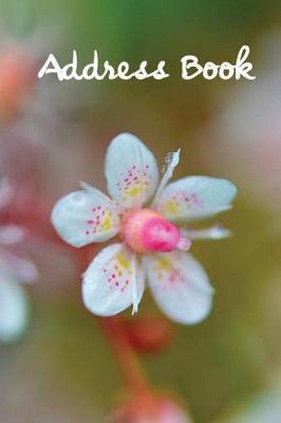 Address Book Flower Edition.- Address Book., Blank Book Store ...