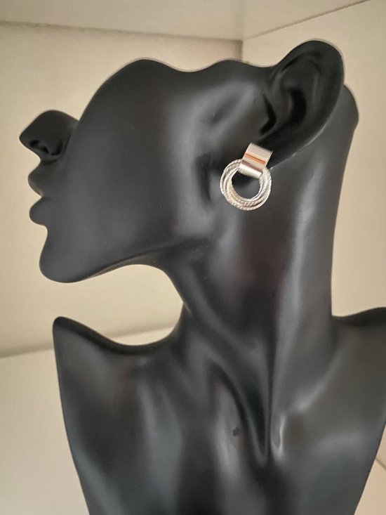 Kleine ronde drop oorbellen | bol.com