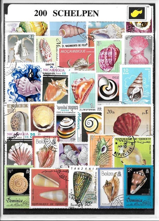 Schelpen – Luxe postzegel pakket (C5 formaat) : collectie van 200 ...