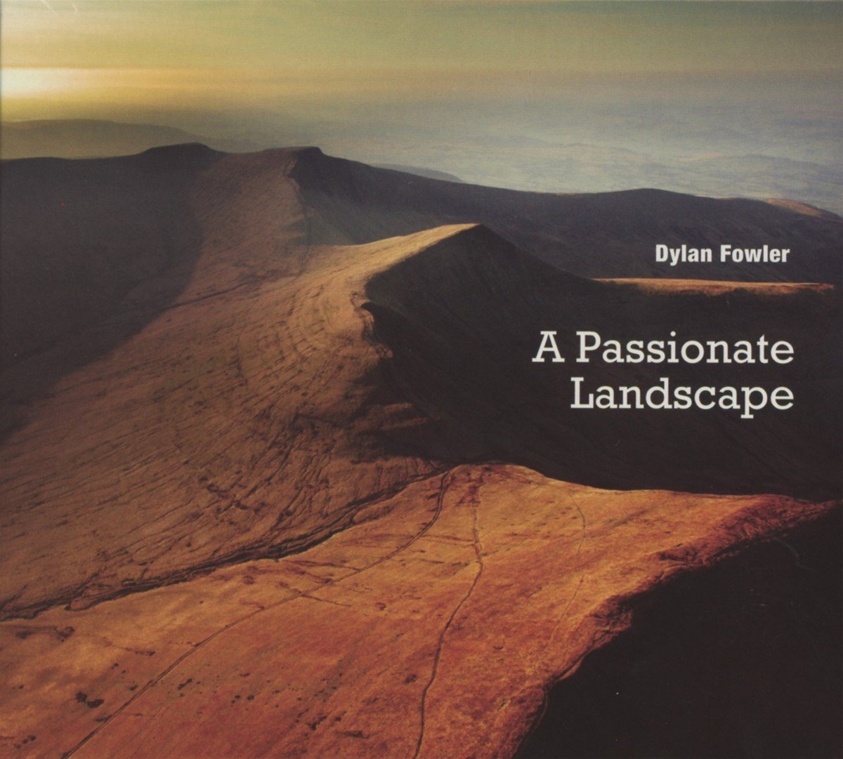 Dylan Fowler - A Passionate Landscape (CD), Dylan Fowler | CD (album ...