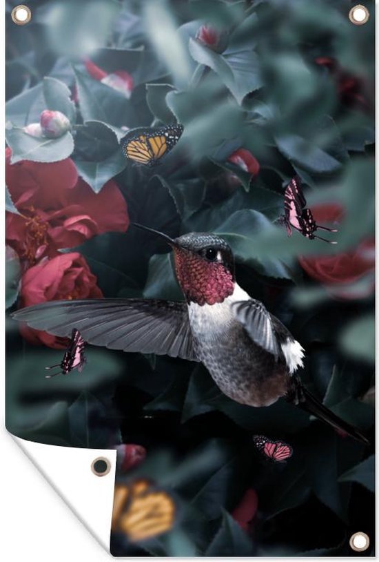 Posters de jardin extérieur Colibri - Rose - Papillons - 60x90 cm ...