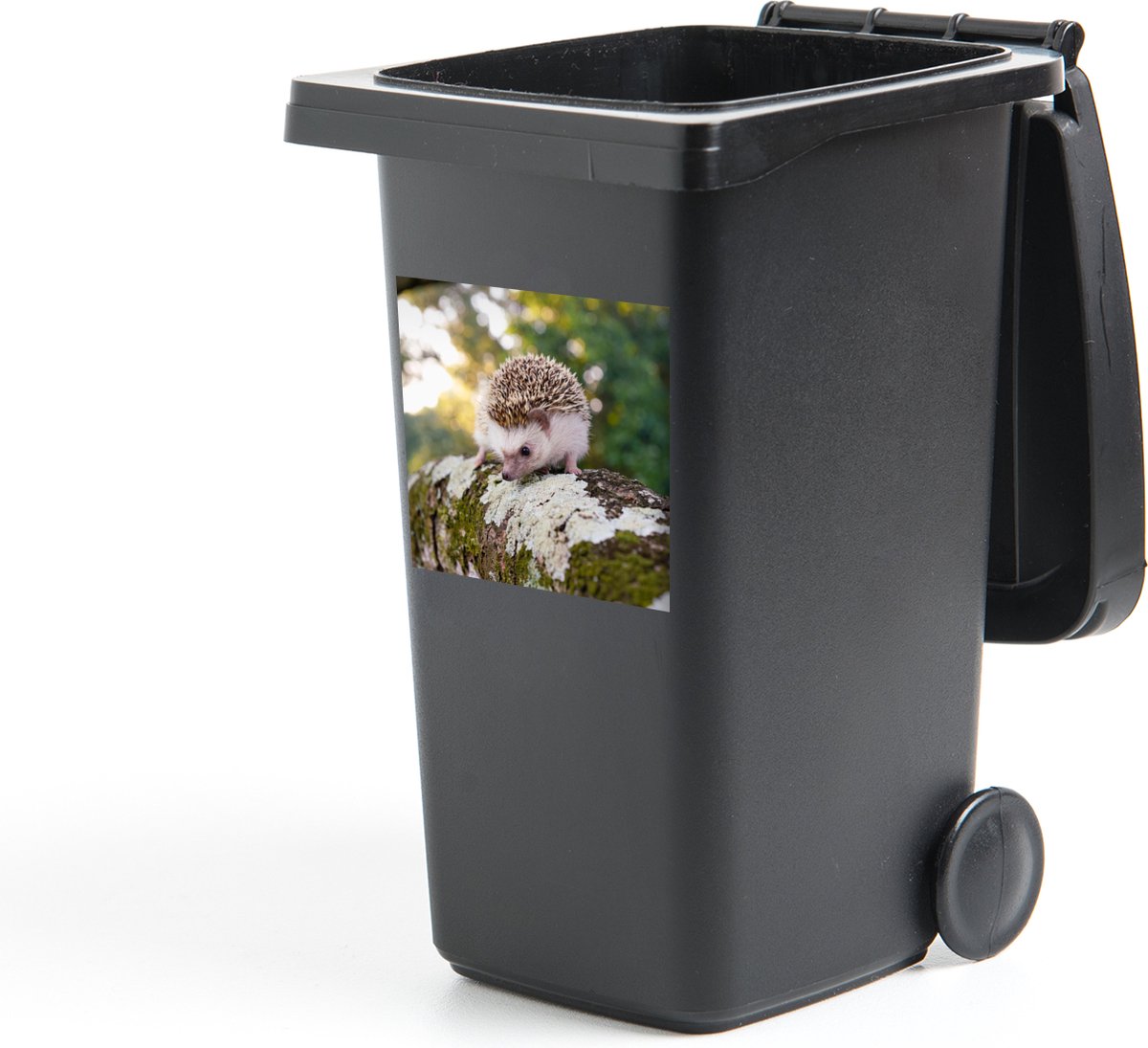 Container sticker Egel - Boomstam - Bos - 40x40 cm - Kliko sticker ...