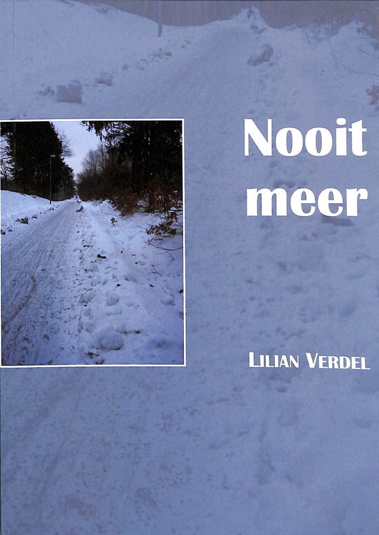 Nooit meer, Lilian Verdel | 9789085393894 | Boeken | bol