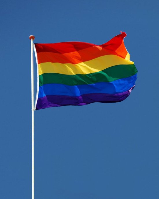 Vlag LGBT - Gay Pride - Regenboog - Rainbow Flag - Drapeau Arc-en-Cielvan - van... | bol.com