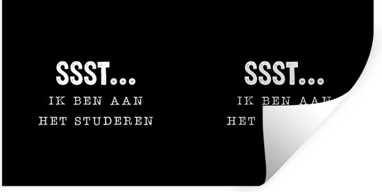 School - Studeren - Quotes - Ssst... Ik ben aan het studeren Aluminium ...
