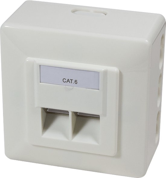 Roline CAT6 Gigabit netwerk opbouw wandcontactdoos met 2 RJ45 poorten ...