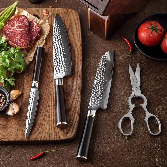 Luxe en Professionele 5-delige Keukenmessen-set van Damascus Staal (67 ...