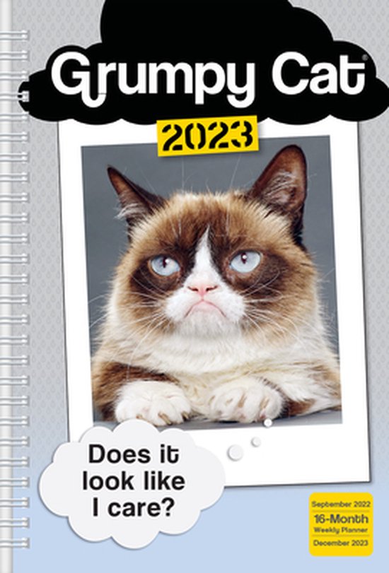 Grumpy Cat 2023 Engagement, Grumpy Cat Limitied | 9781531917517 ...