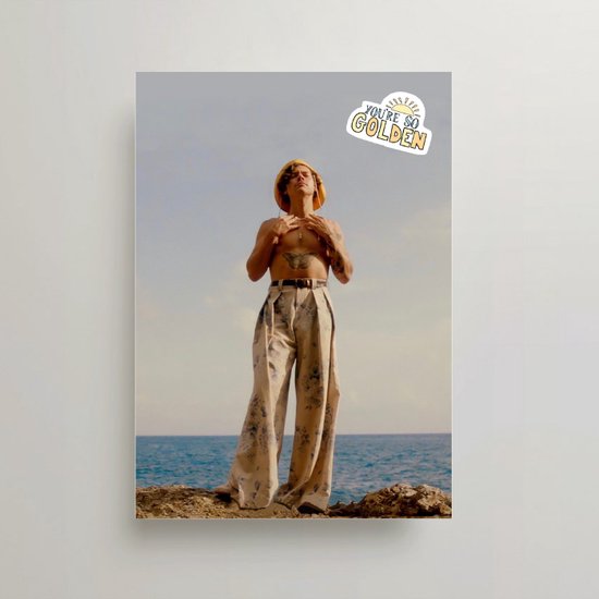 Harry Styles Poster - Harry Styles You're So Golden Poster - Harry ...