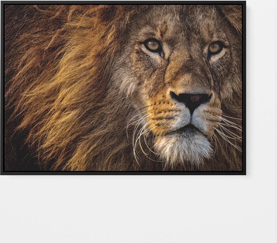 Leeuw Portret | 100x70 cm | Dieren Leeuw | Canvas schilderij | Zonder ... Leeuw Portret | 100x70 cm | Dieren Leeuw | Canvas schilderij | Zonder ...