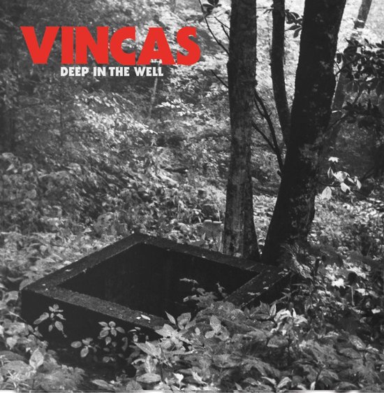 Vincas - Deep In The Well (LP), Vincas | LP (album) | Muziek | bol.com