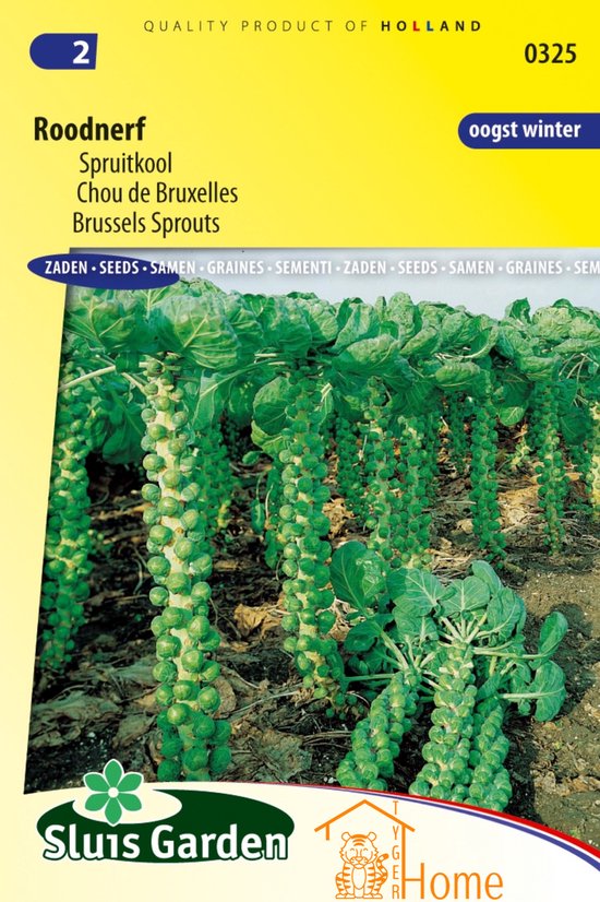 Roodnerf Spruitkool Zaden: Kweek Voedzame, Heerlijke en Knapperige ...