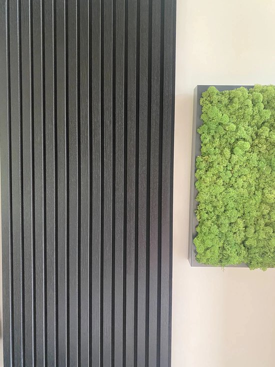 WoolWood® akupanel black 304cm | bol