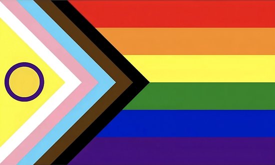 LGBTQ vlag - Pride vlag - Pride flag - Regenboog vlag - Progress | bol